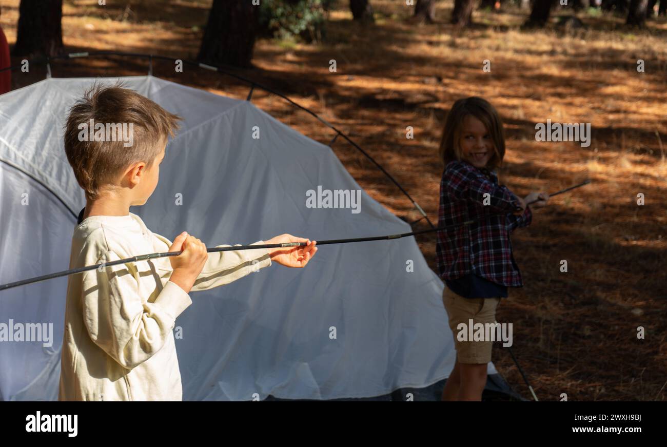 Two children pitching a tent in the woods Stock Photo - Alamy