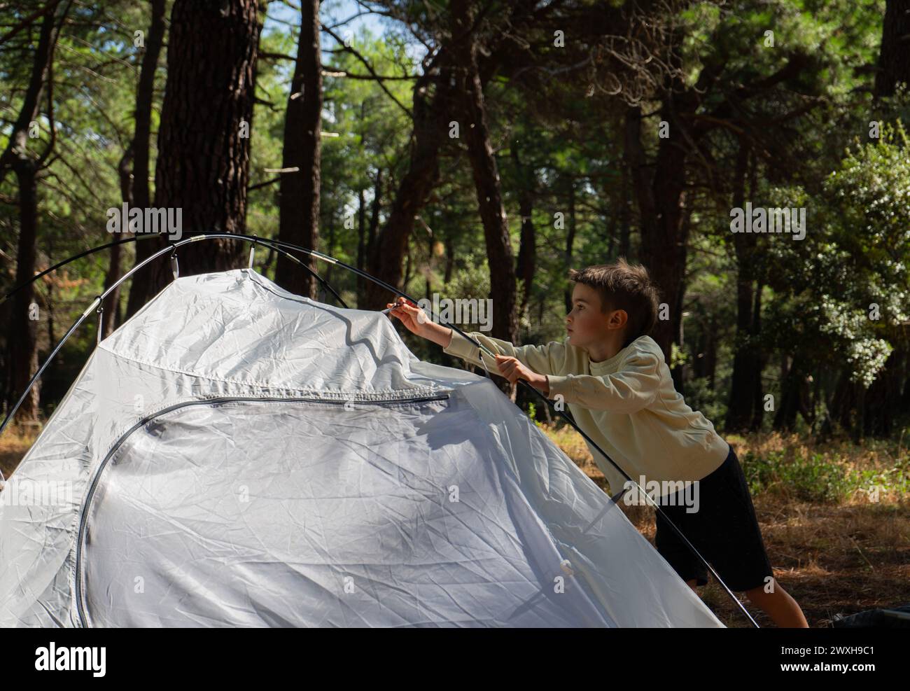 Pitching a tent hi-res stock photography and images - Alamy