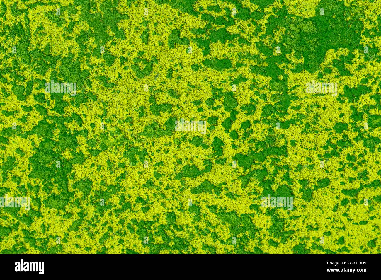 Green Verdant Color Paint Abstract Pattern Plaster Wall Texture ...