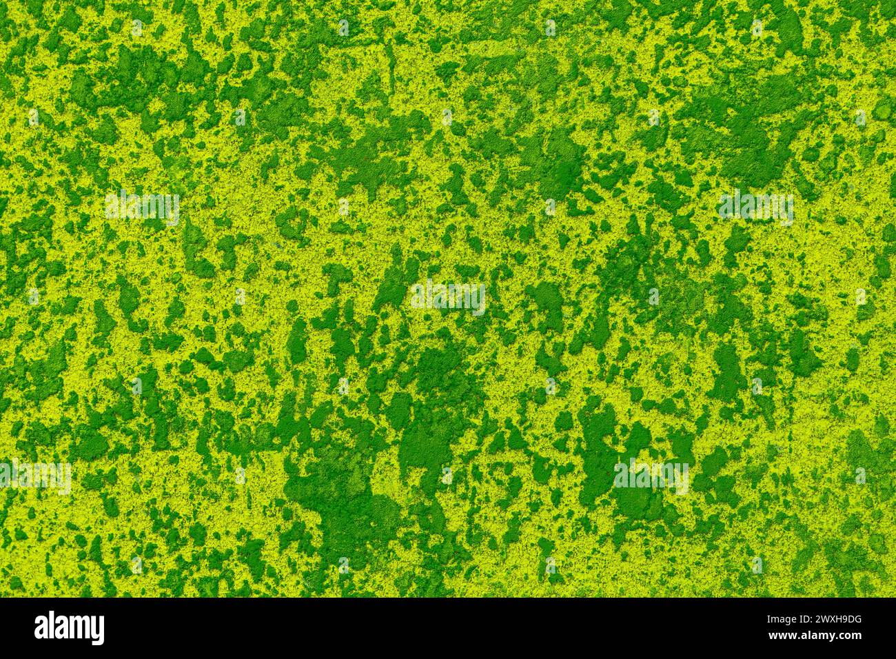 Green Verdant Color Acid Paint Abstract Pattern Plaster Wall Texture ...