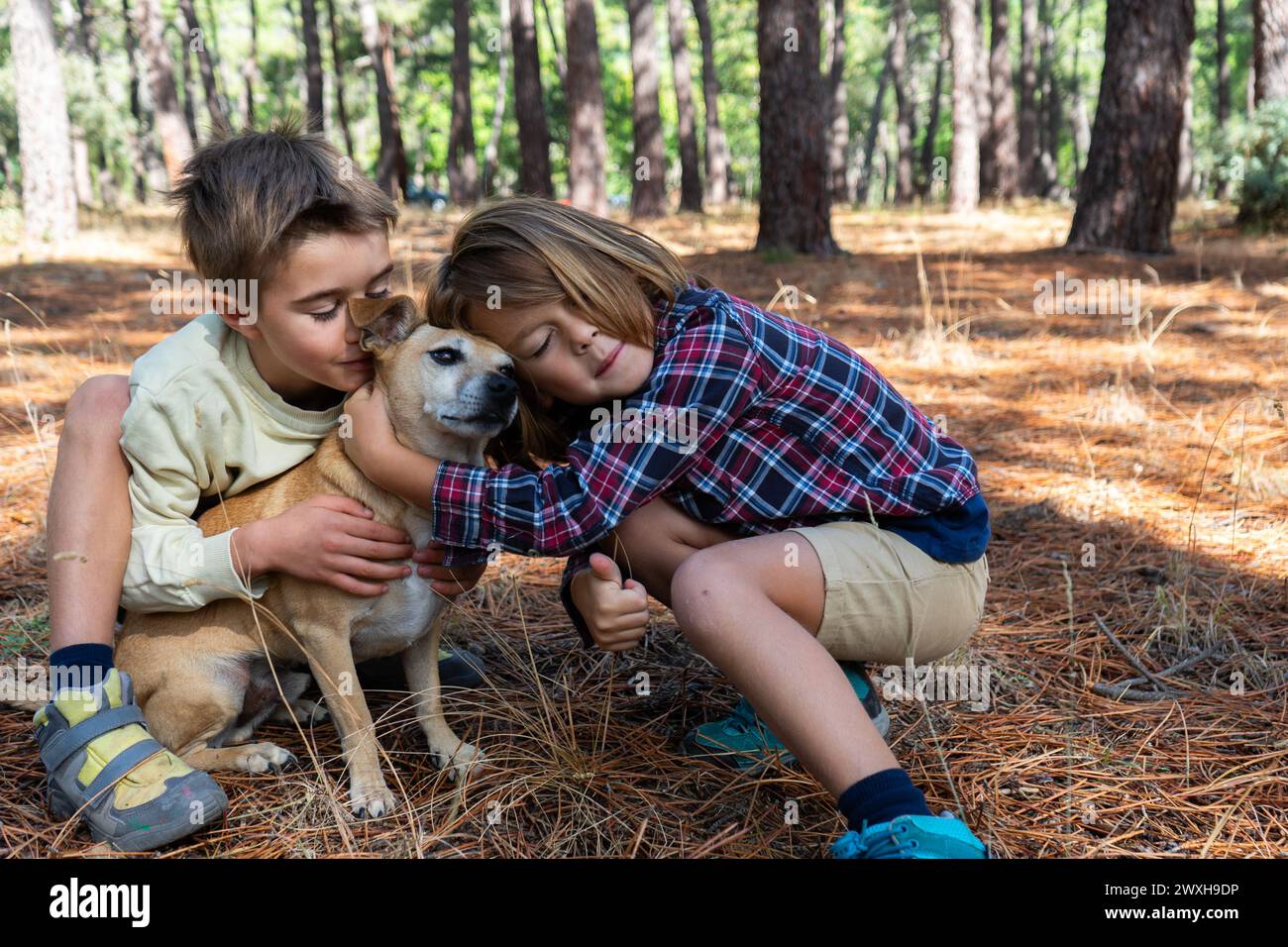 Two children hugging their dog in the woods Stock Photo - Alamy