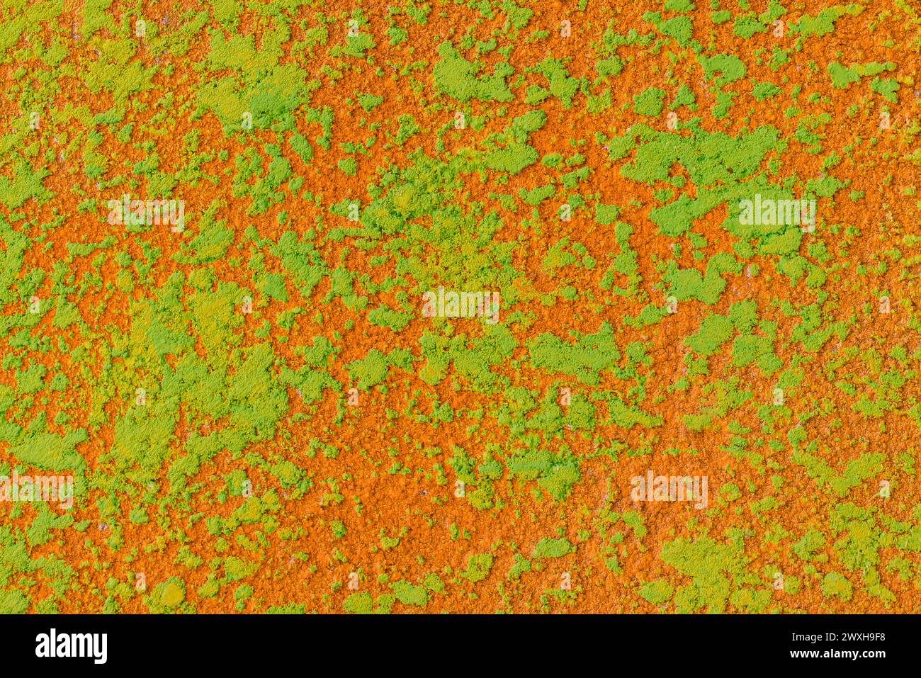 Abstract rough color pattern wall yellow and orange bright texture ...