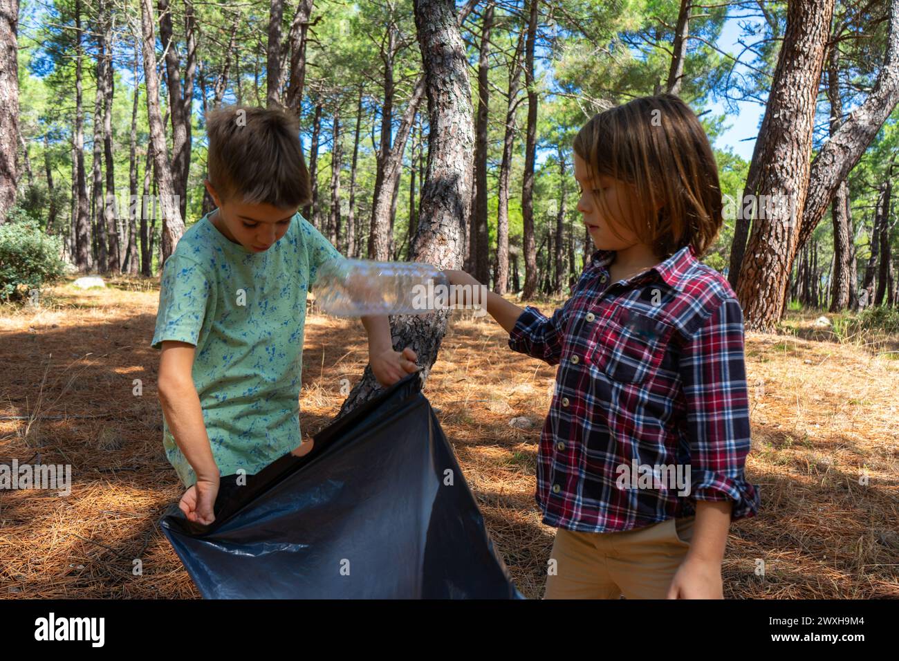 Children picking up trash from the forest Stock Photo - Alamy
