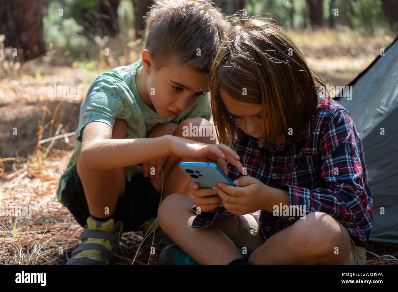 Exploring Nature with Modern Gadgets: Kids Camping in the Woods Stock ...