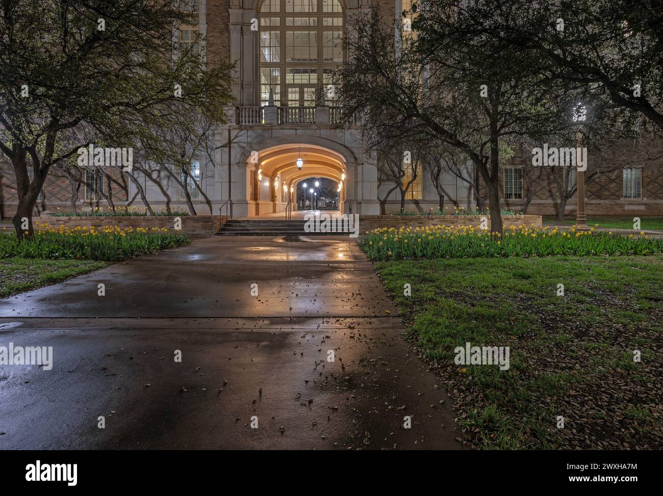 Night view of a pedestrian walkway on Texas Tech University in Lubbock ...