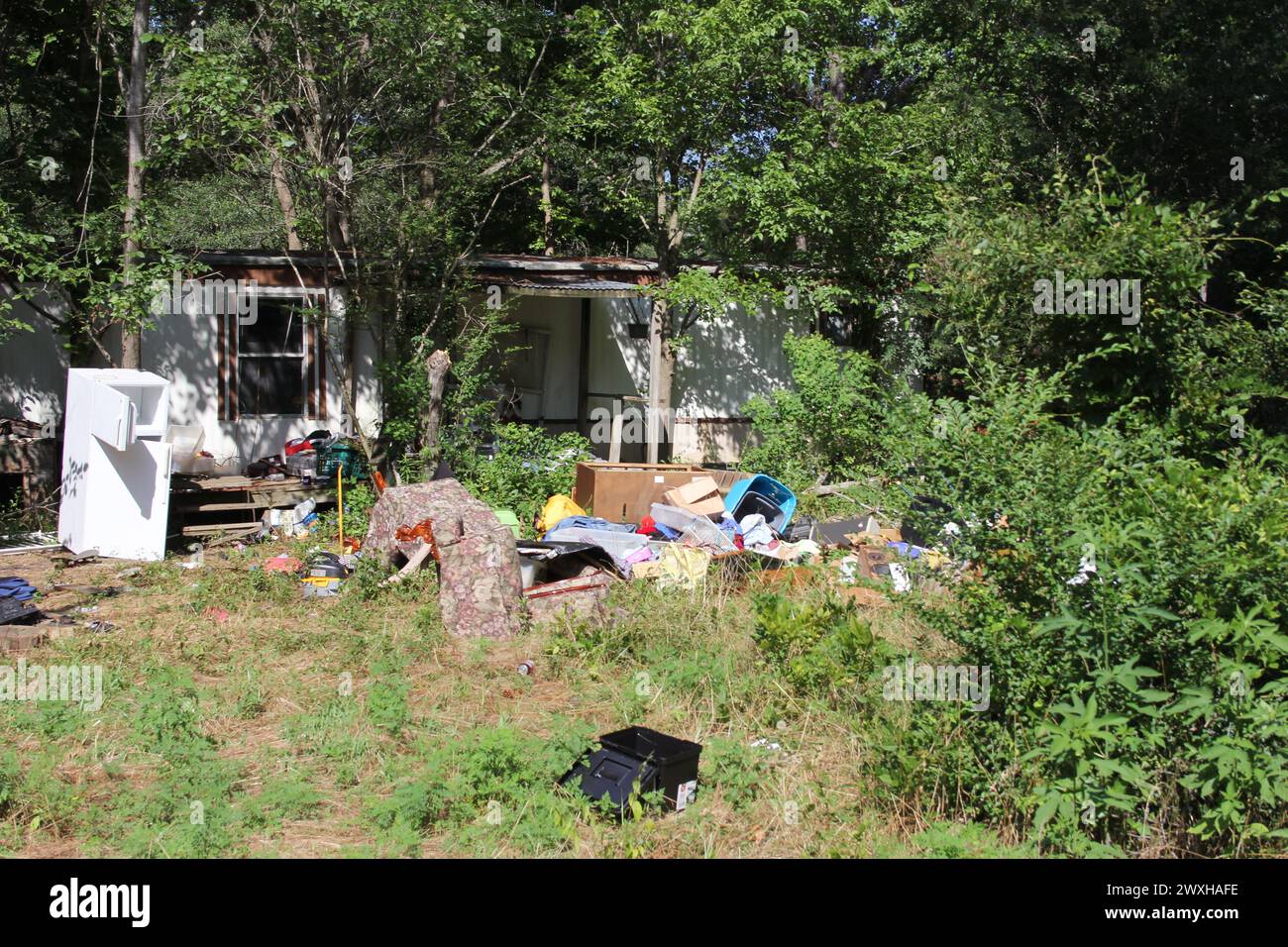 Residential house nestled amidst dense vegetation and scattered debris ...