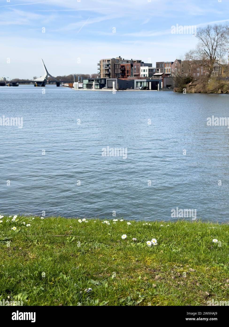 Picturesque vista unfolds over the river, capturing the Prins Clausbrug ...