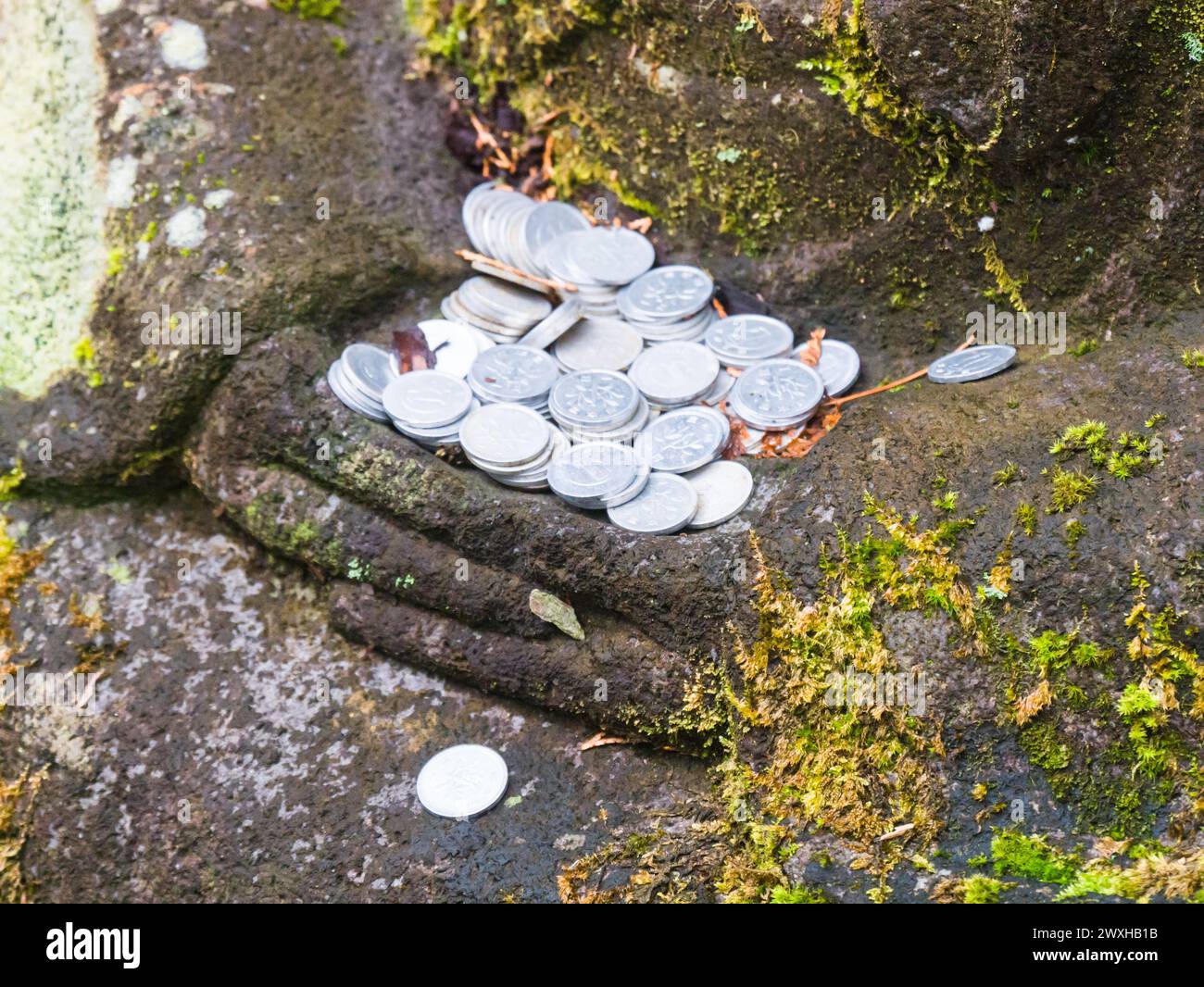Hand holding shiny gold coin hi-res stock photography and images - Alamy