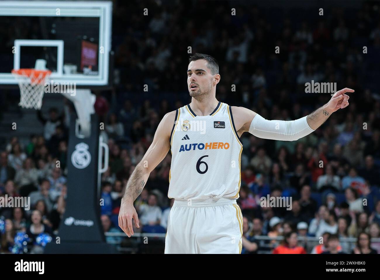 Alberto Abalde of Real Madrid in action during ACB League match between Real Madrid and BAXI ...