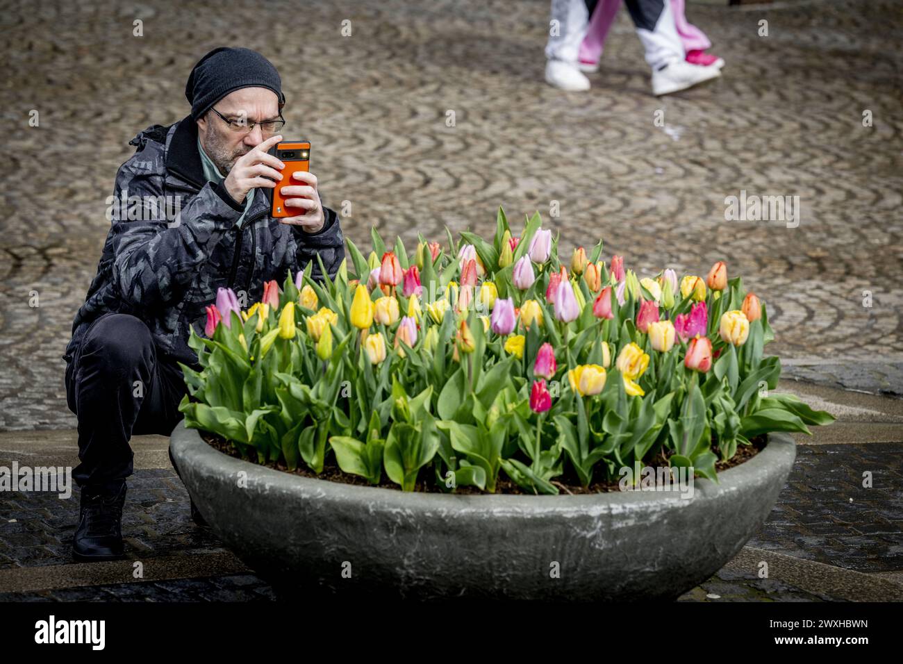AMSTERDAM - Tourists admire the tulips of the Tulip Festival. Easter is ...