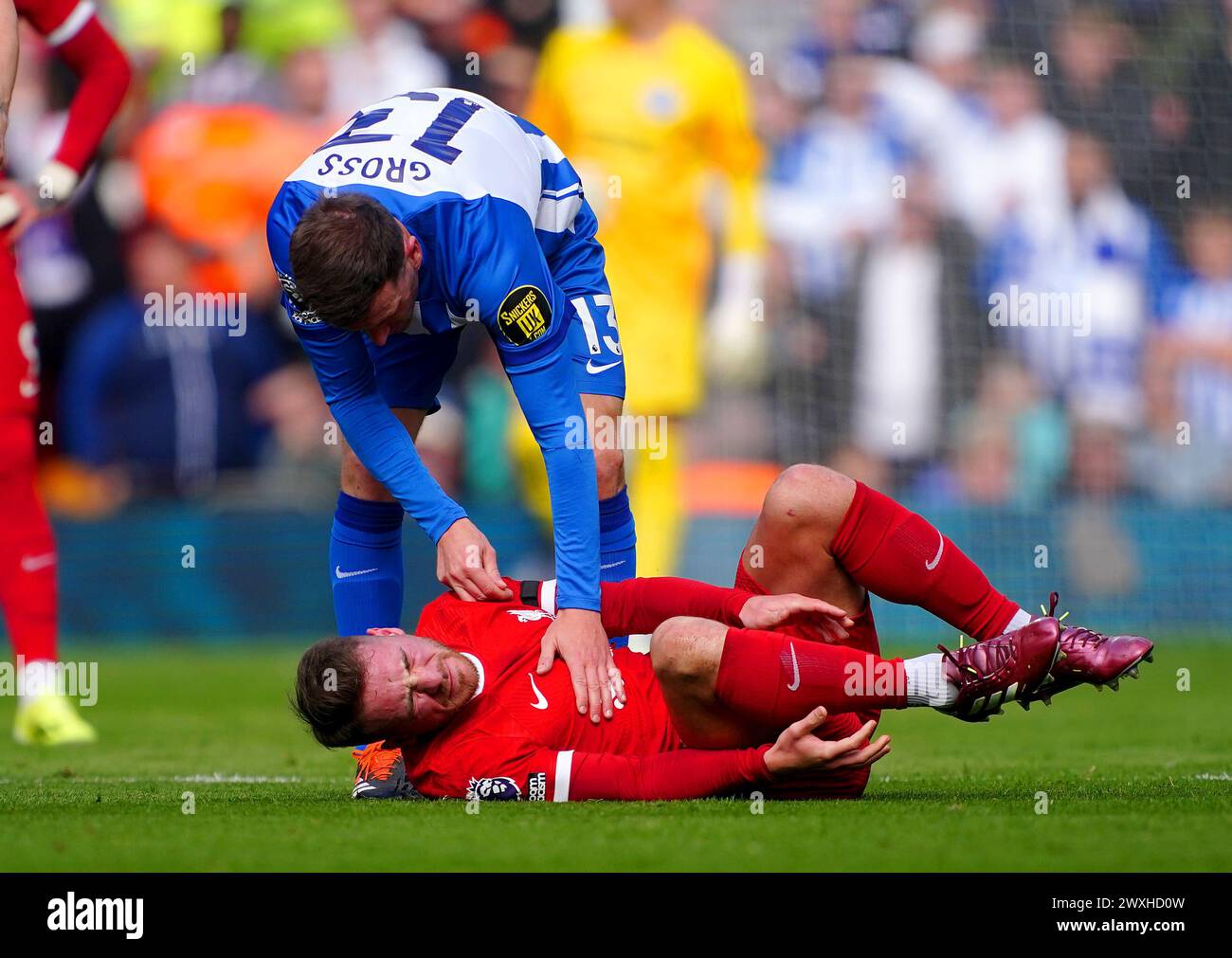Liverpool's Alexis Mac Allister lies injured on the pitch after being ...