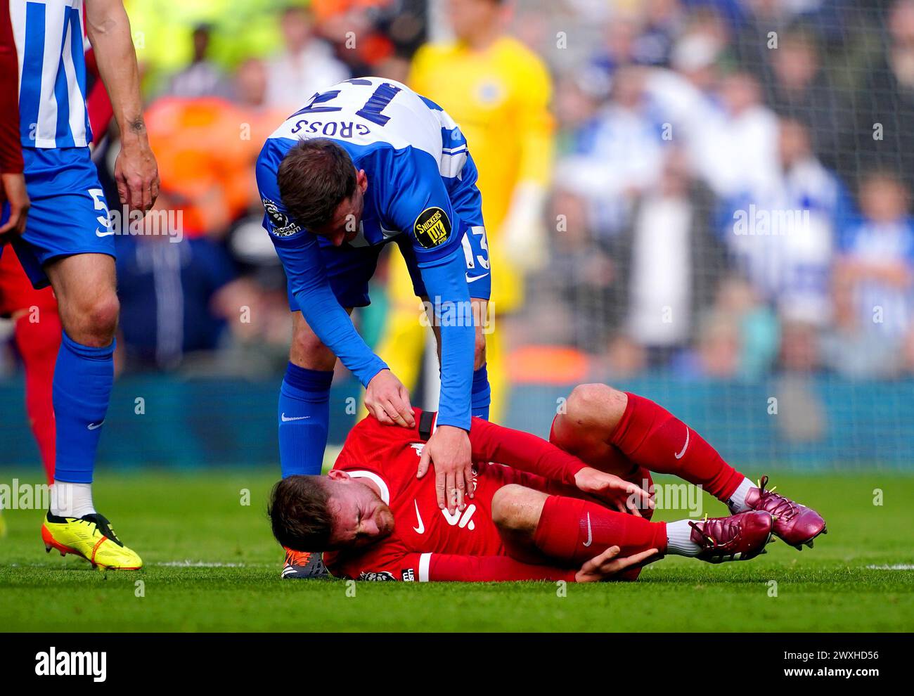 Liverpool's Alexis Mac Allister lies injured on the pitch after being ...