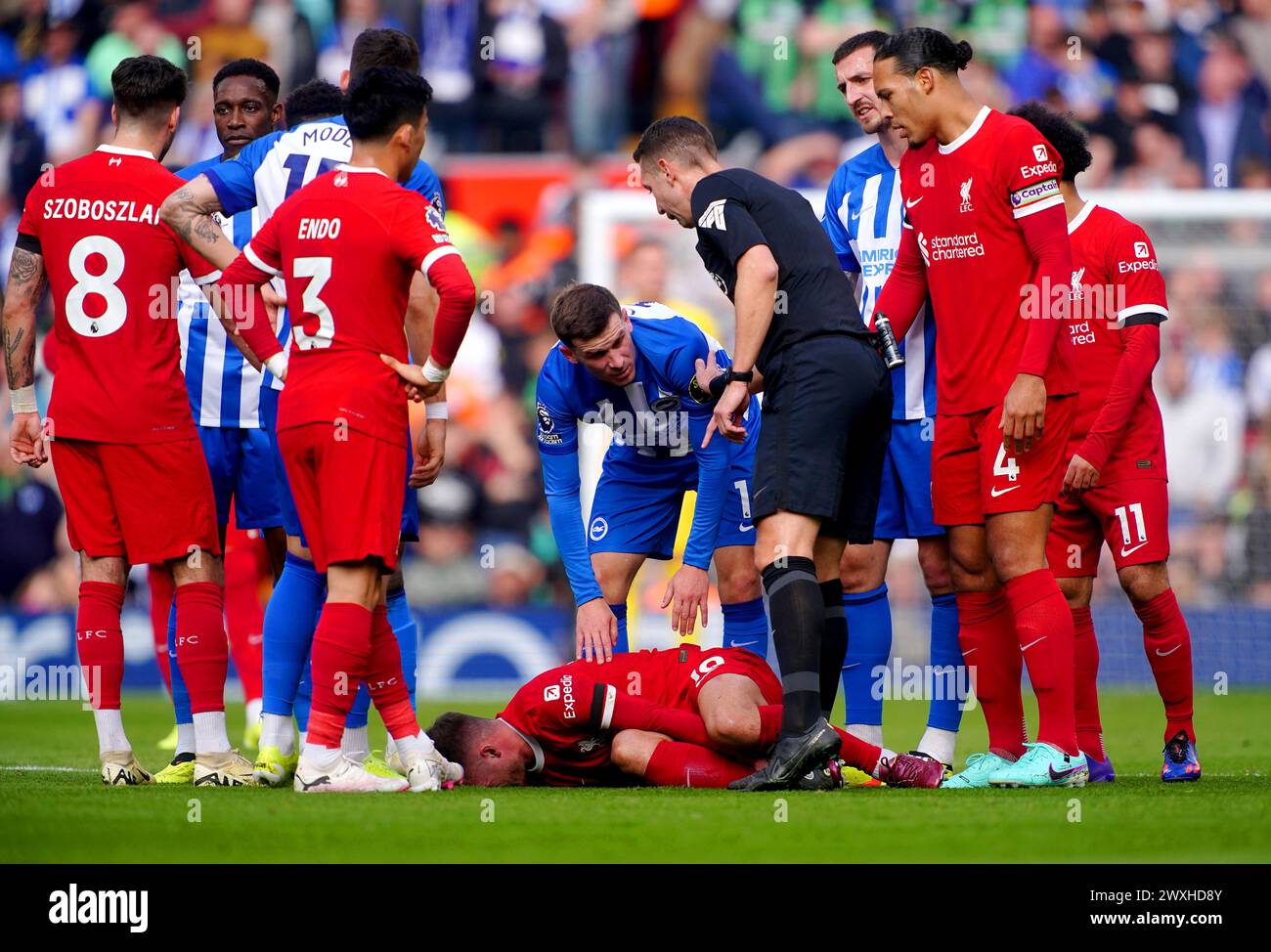 Liverpool's Alexis Mac Allister lies injured on the pitch after being ...