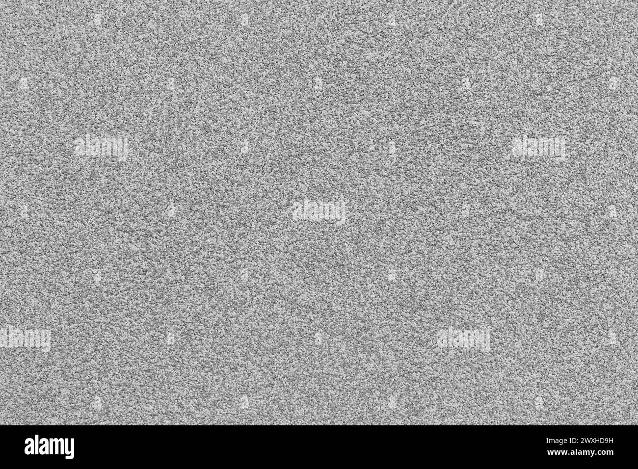 Grain Detailed Texture Grey Cement Wall Concrete Plaster Background ...