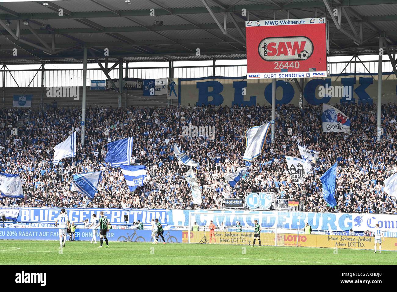 Magdeburg, Germany. 31st Mar, 2024. Soccer: Bundesliga 2, 1. FC ...