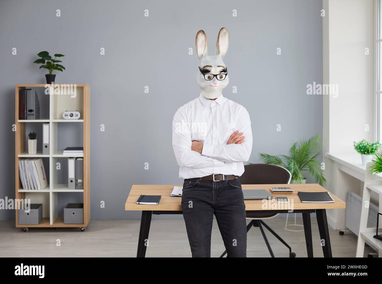 Rabbit boss hare businessman hi-res stock photography and images - Alamy