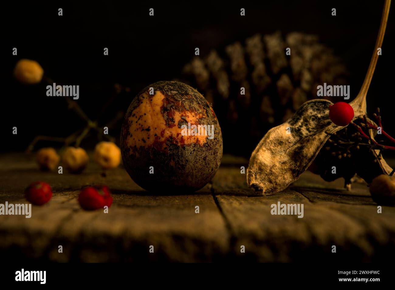 still life photography with avocado seeds, rose, fruits Stock Photo - Alamy