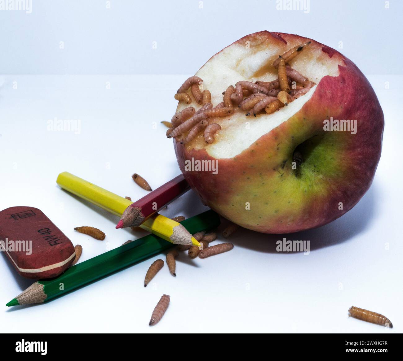 Rotten apple maggot hi-res stock photography and images - Alamy