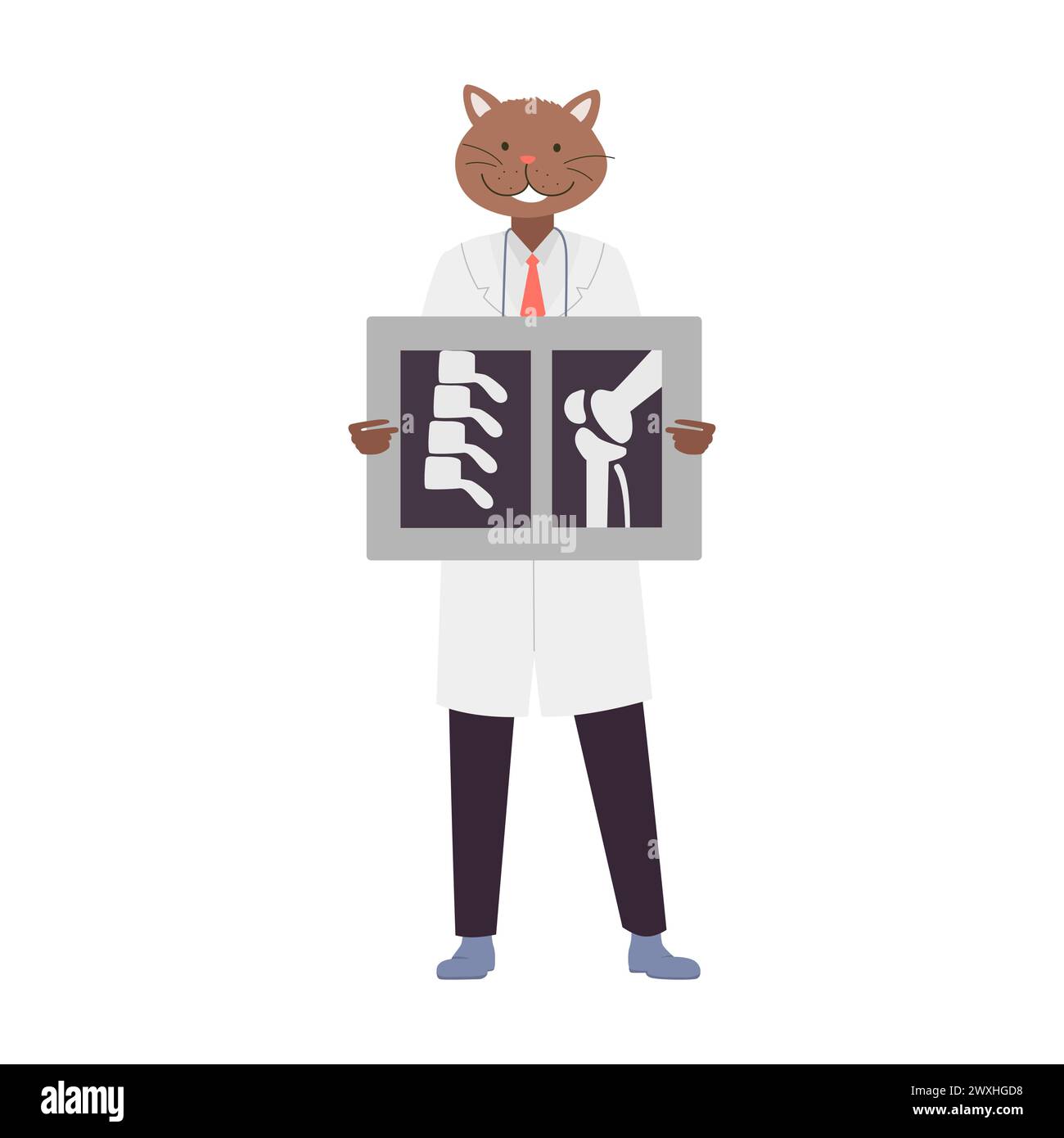 Standing doctor cat with xray photo. Hospital cat worker in white coat ...