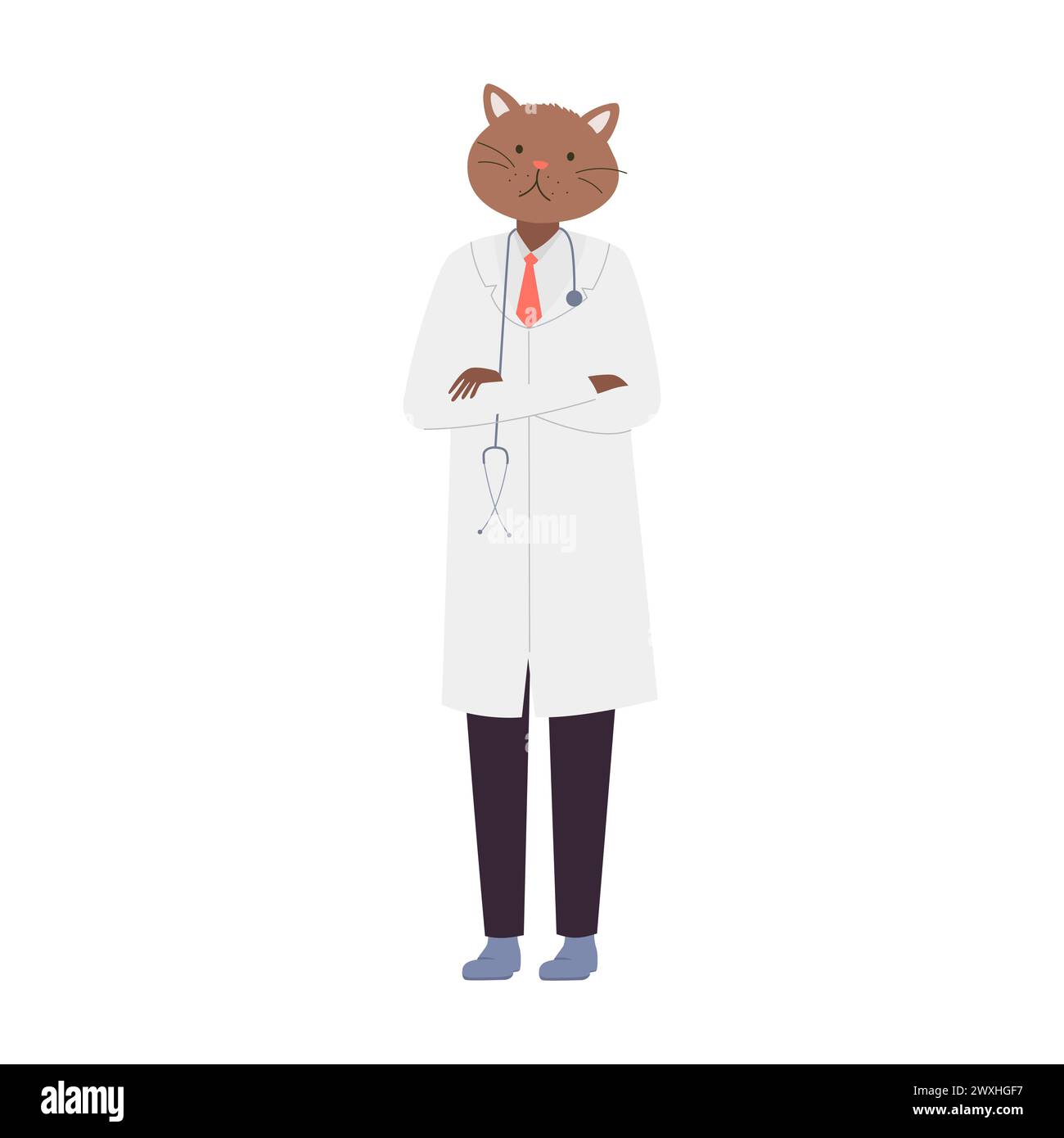 Standing doctor cat with crossed arms. Hospital cat worker in white ...