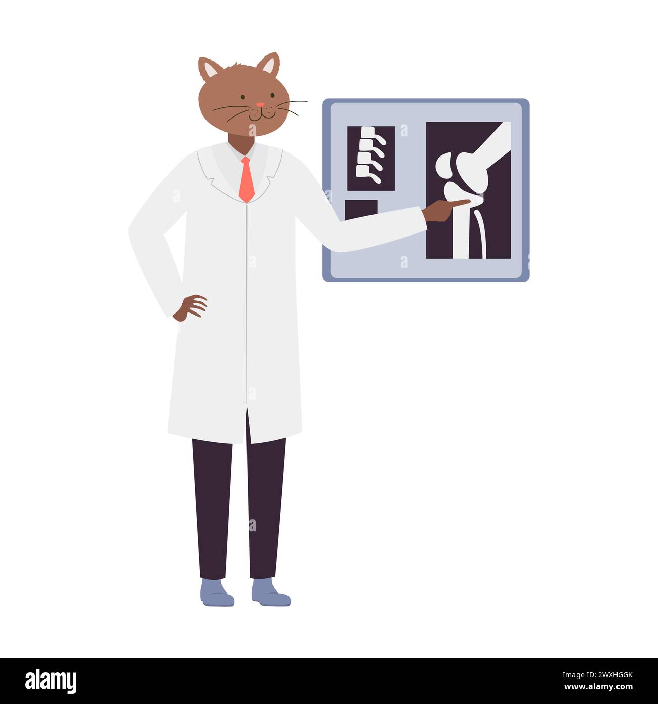 Doctor cat radiologist. Hospital cat worker in white coat cartoon ...