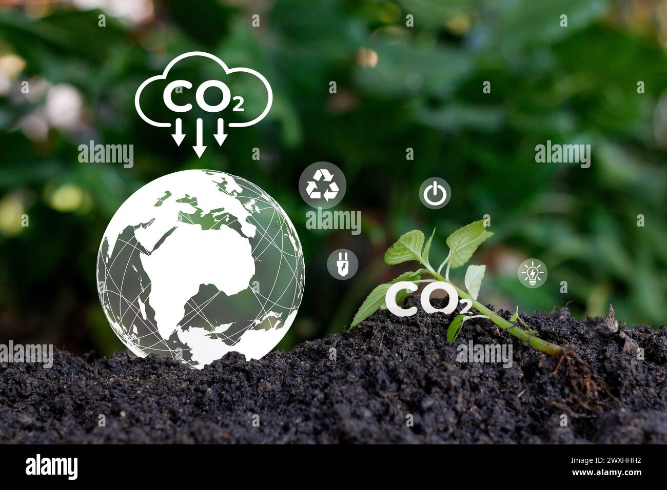 carbon neutral and net zero emissions concepts. natural environment A ...