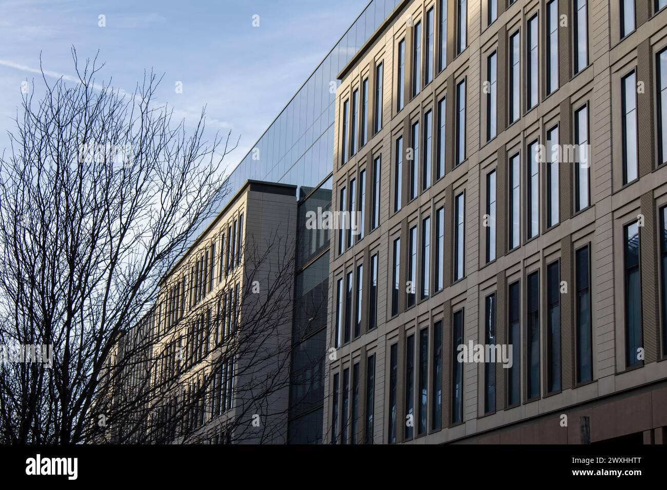 Traffic light on city street corner with skyscrapers Stock Photo - Alamy