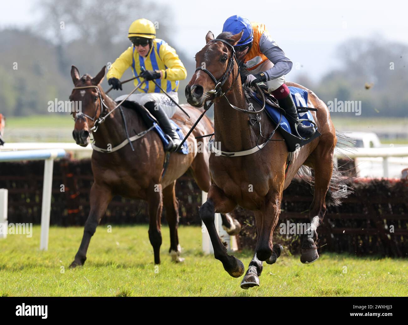 Captain cody horse hi-res stock photography and images - Alamy