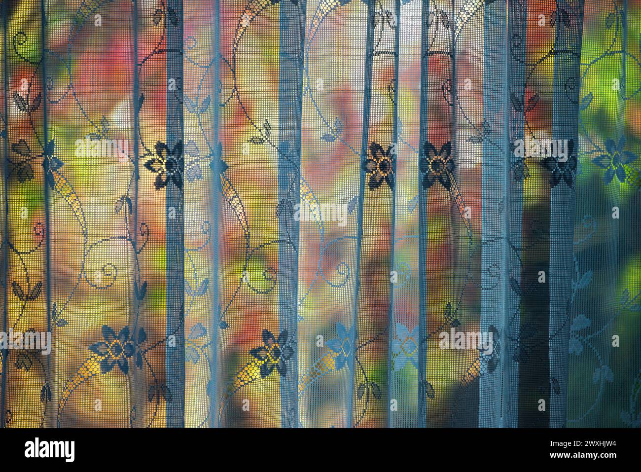 Net curtains hi-res stock photography and images - Alamy