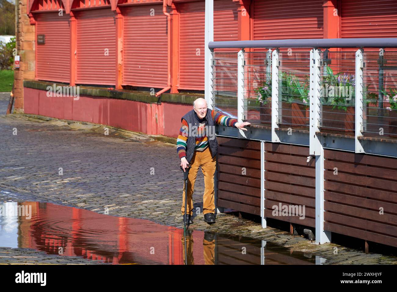 Old man walking past a puddle of water Stock Photo - Alamy