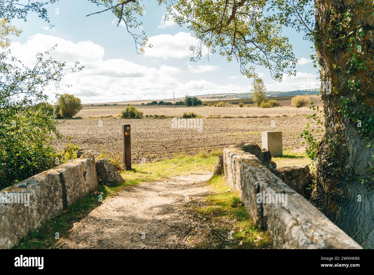 Way Marking Stone Post with Scallop Shell Symbol and Yellow Arrow Sign ...