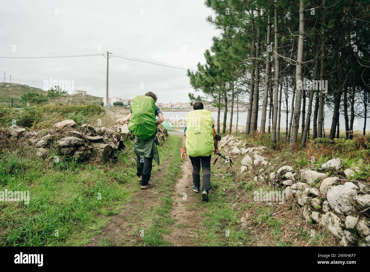 Way Marking Stone Post with Scallop Shell Symbol and Yellow Arrow Sign ...