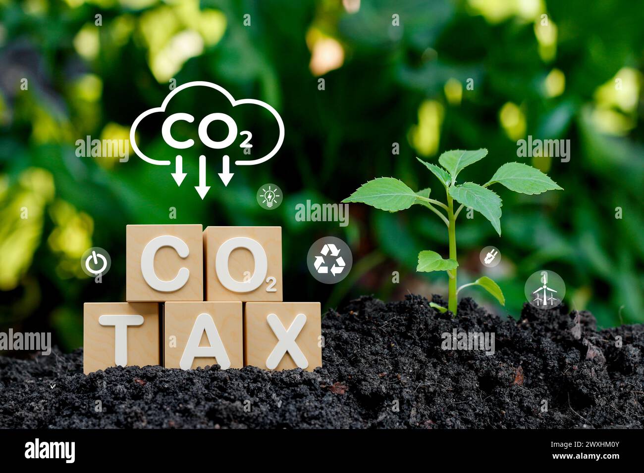 carbon neutral and net zero emissions concepts. natural environment A ...