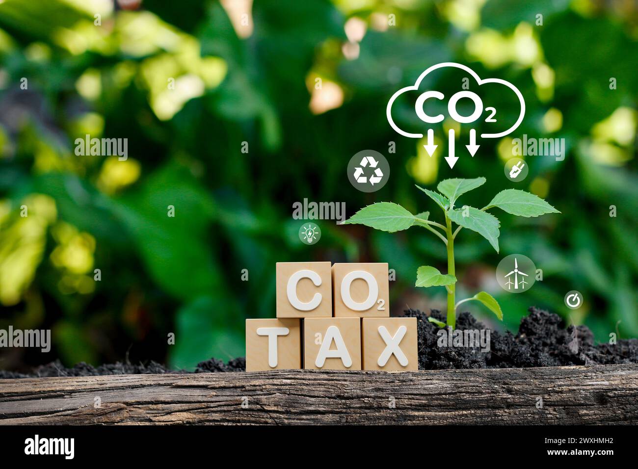 carbon neutral and net zero emissions concepts. natural environment A ...