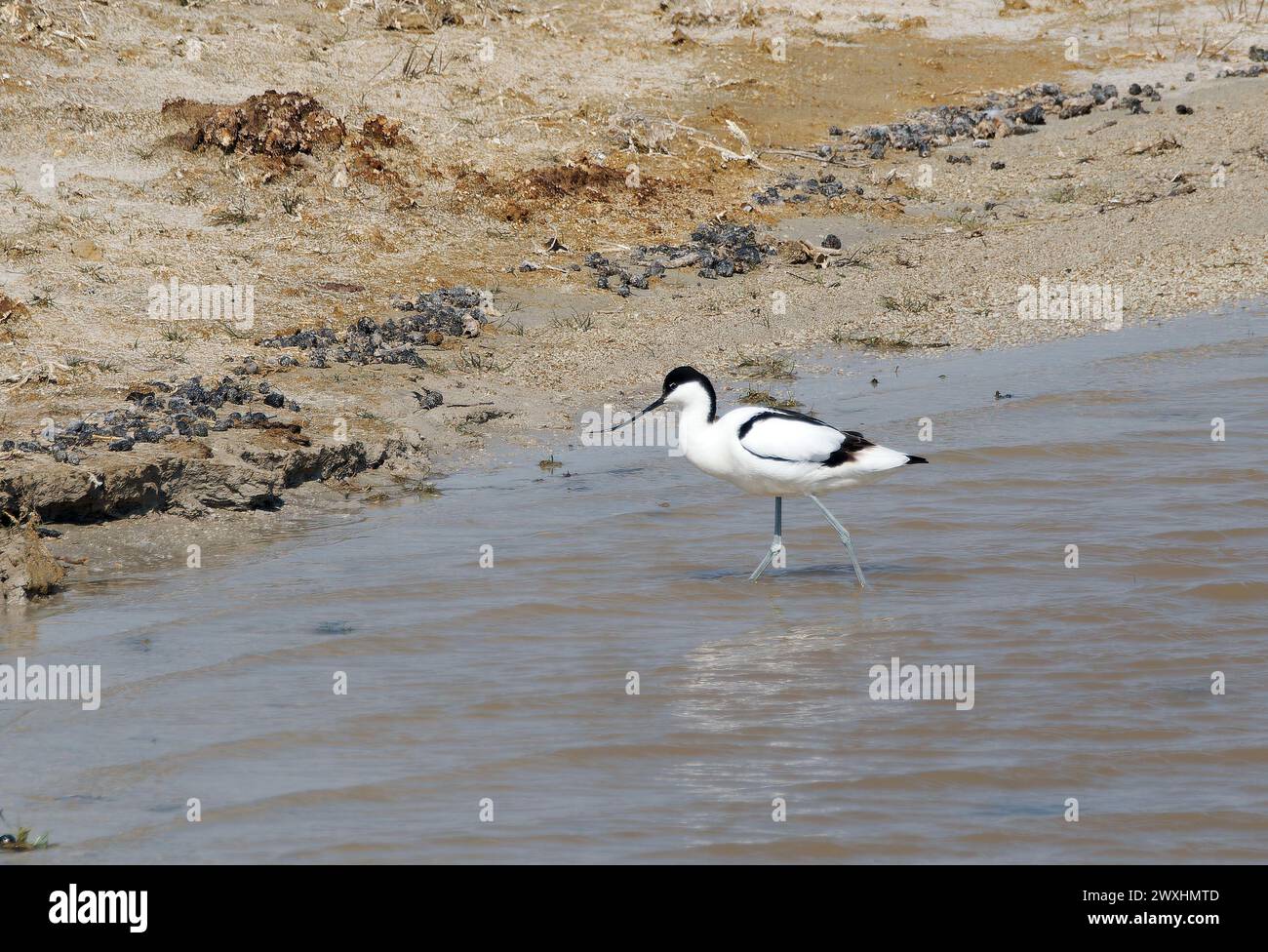Lon 19 95028138 hi-res stock photography and images - Alamy
