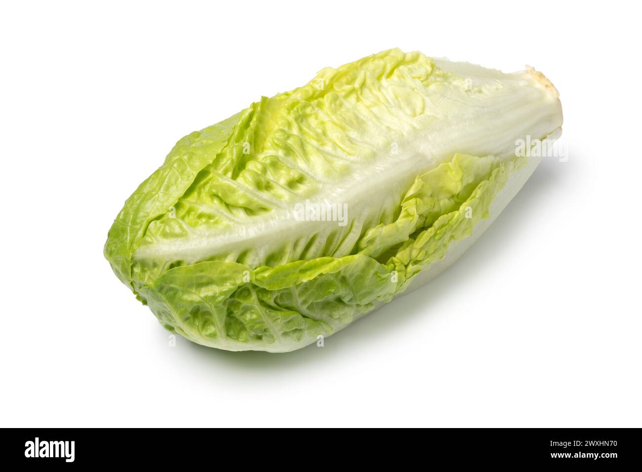 Little whole fresh raw Romaine lettuce isolated on white background close up Stock Photo - Alamy