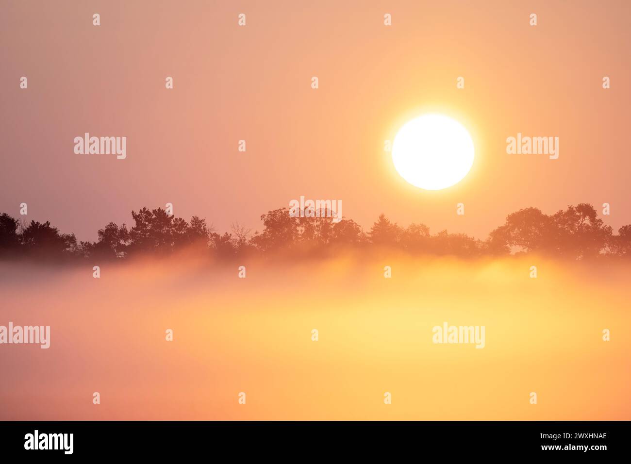 Foggy sunrise , Autumn, E USA, by Dominique Braud/Dembinsky Photo Assoc ...