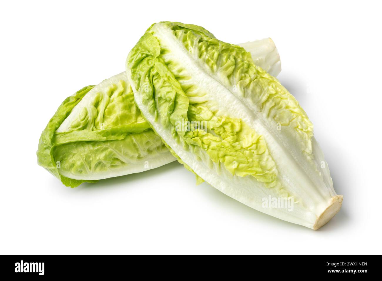 Pair of fresh raw Romaine lettuce isolated on white background close up Stock Photo - Alamy