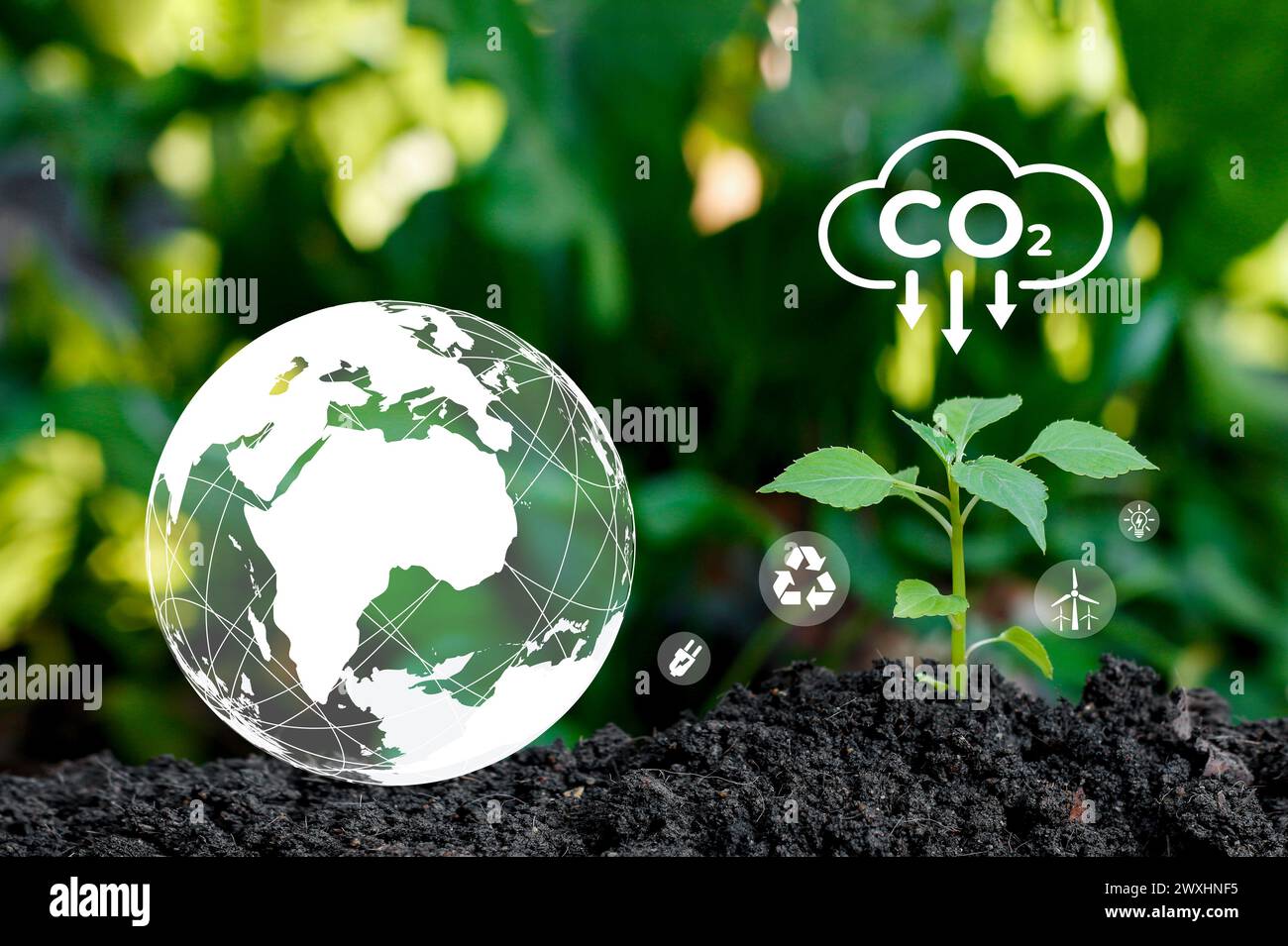 carbon neutral and net zero emissions concepts. natural environment A ...