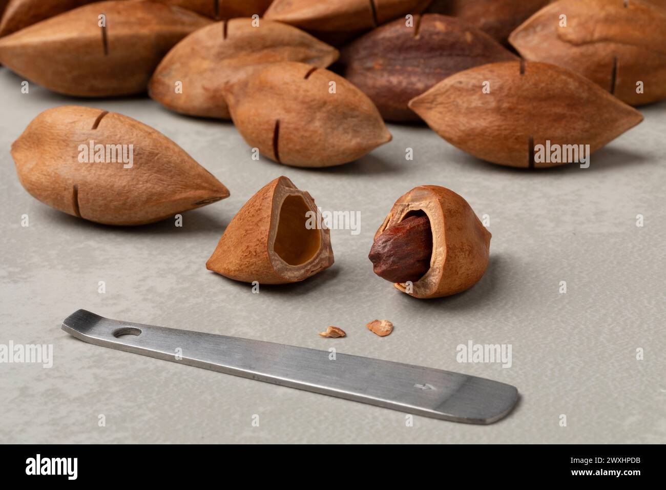 Shelled pili nut close up and unshelled nuts at the background Stock ...