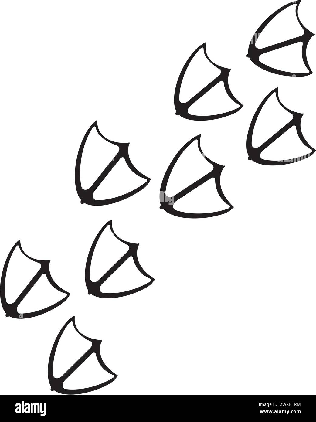 Duck Footprint Template Penguin Feet Black And White Vector