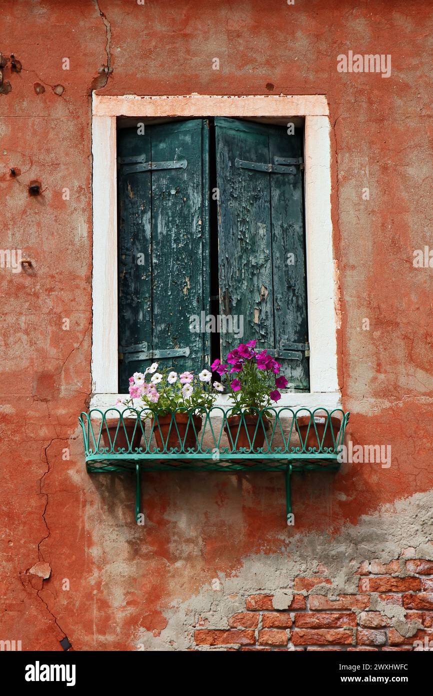 old window with green shutters with flowers and red vintage wall in ...