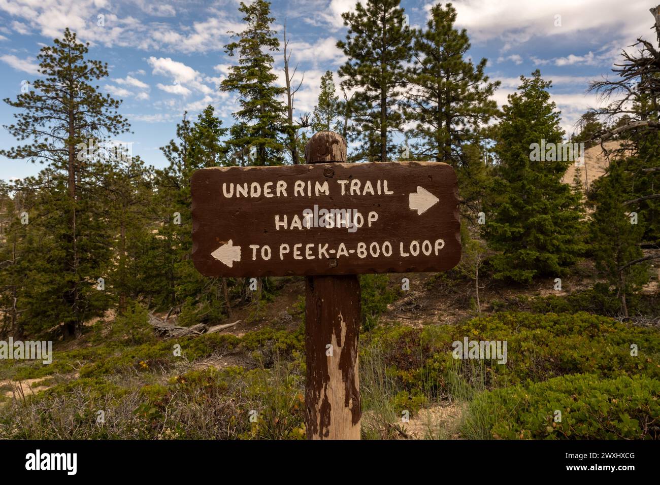 Under The Rim Trail Sign at Intersection with Peekaboo Loop Stock Photo ...