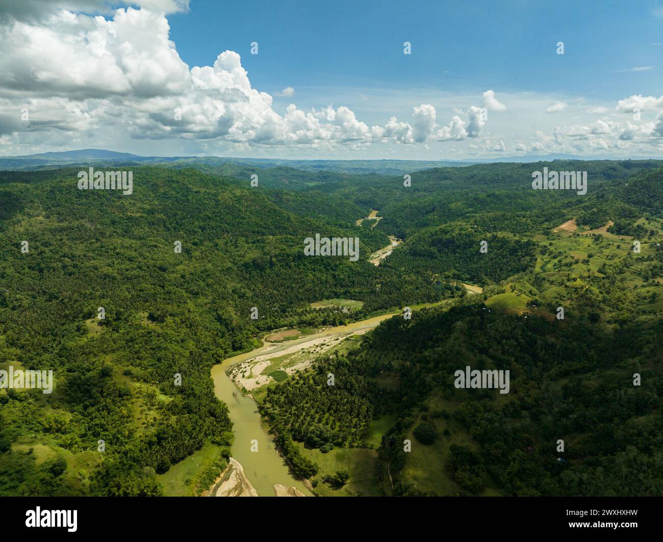Top view of rural area with agricultural land and rice fields in the ...