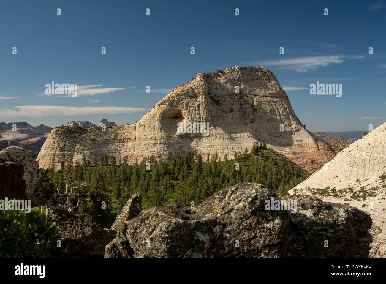 View of North Guardian Angel from Northgate Peaks Trail in Zion Stock ...