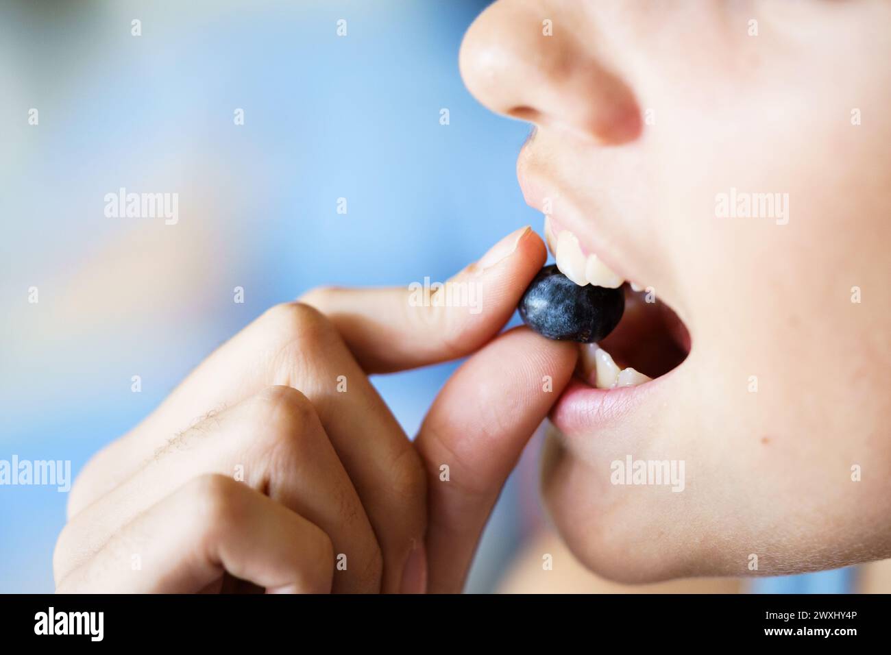 Anonymous young girl biting delicious organic blueberry at home Stock ...
