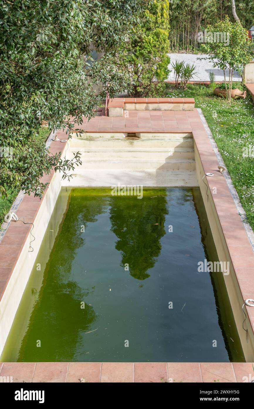 Algae pool water hi-res stock photography and images - Alamy
