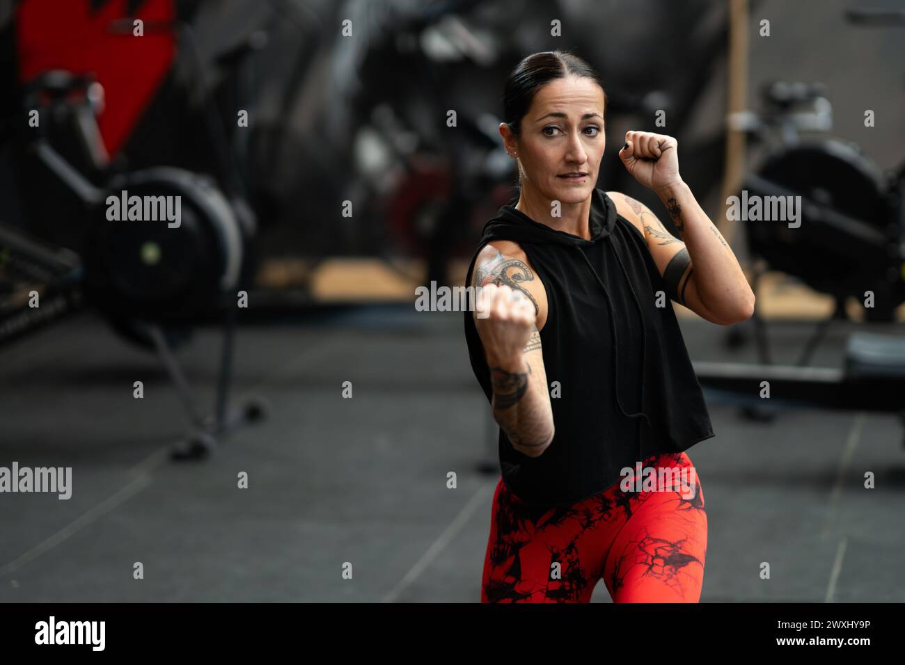 Martial artist in training gym hi-res stock photography and images - Alamy
