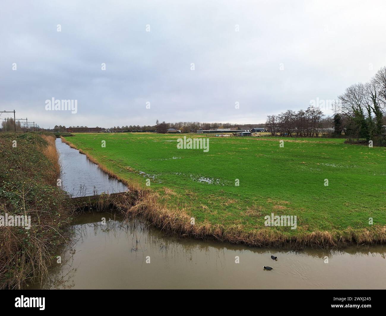 Fields in the Zuidplaspolder at Nieuwerkerk where municipality Zuidplas ...