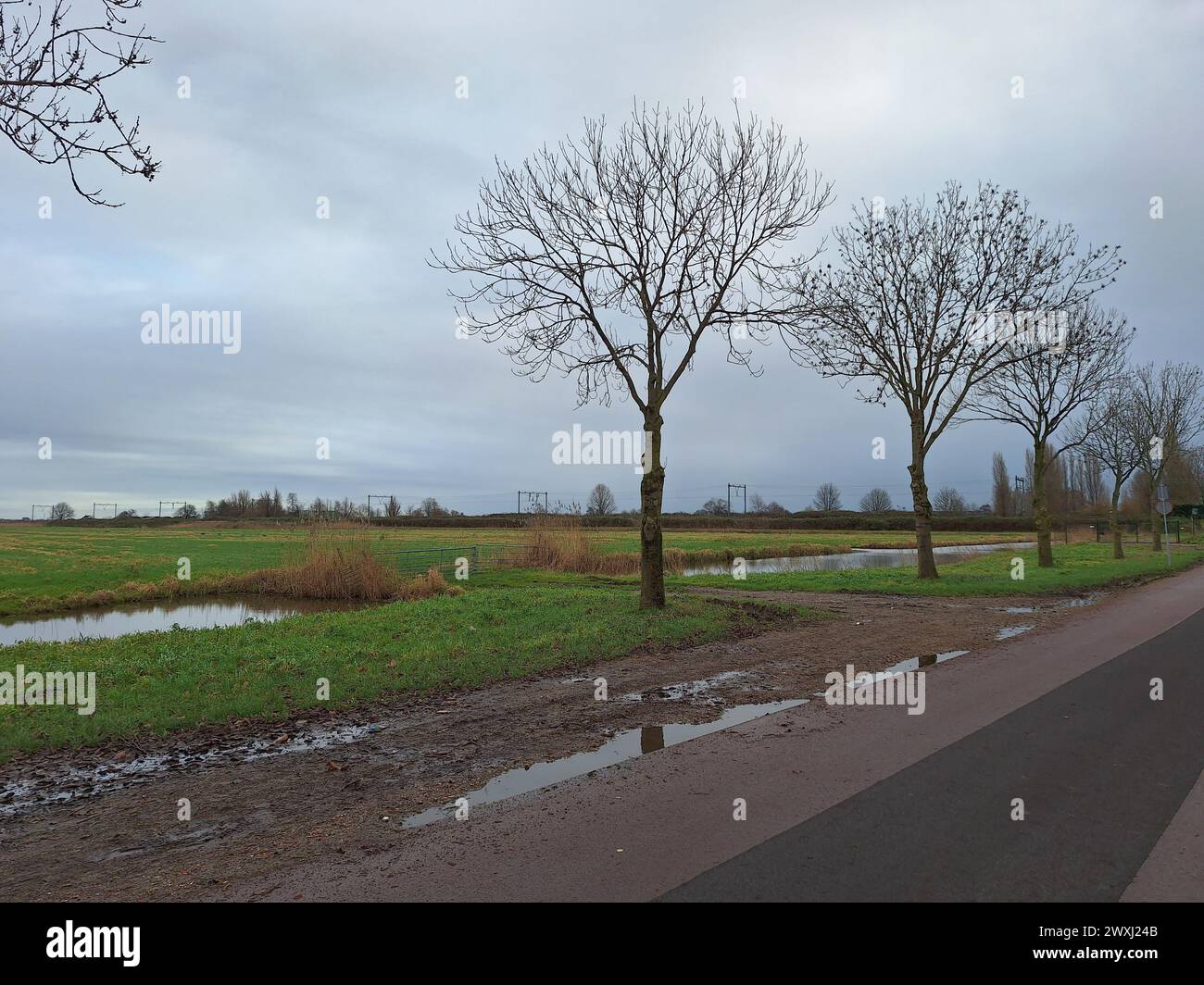 Fields in the Zuidplaspolder at Nieuwerkerk where municipality Zuidplas ...